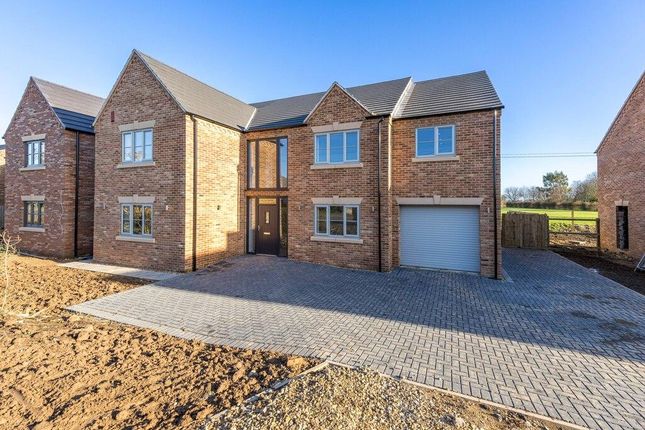 Gull Road, Guyhirn, Wisbech, Cambs PE13, 4 bedroom detached house for ...