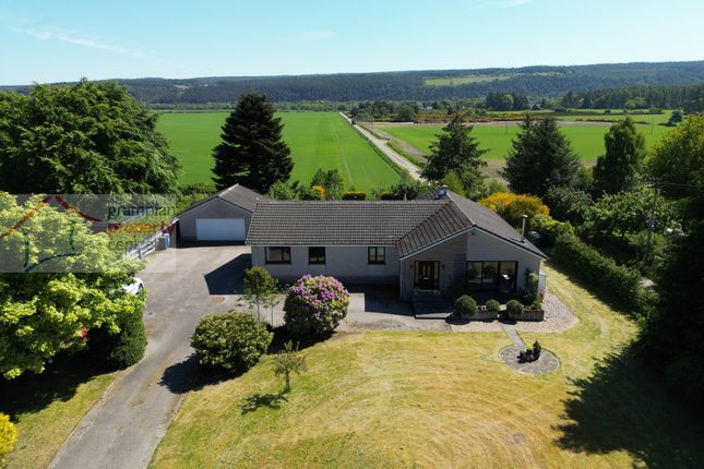 Moray bungalows for sale | Buy houses in Moray | PrimeLocation