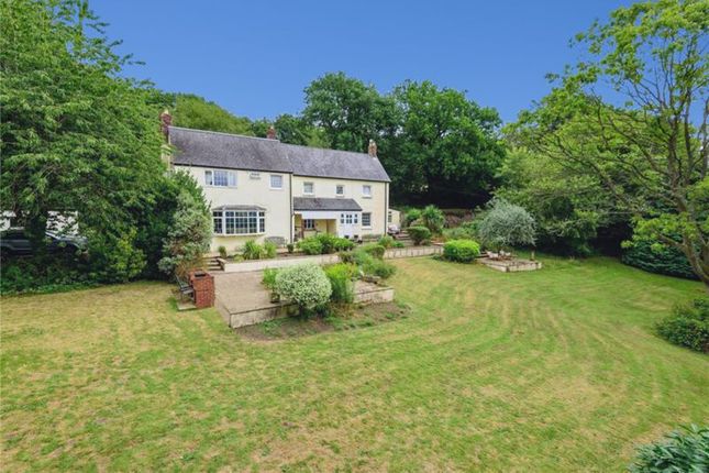 Homes for Sale in Hemyock - Buy Property in Hemyock - Primelocation