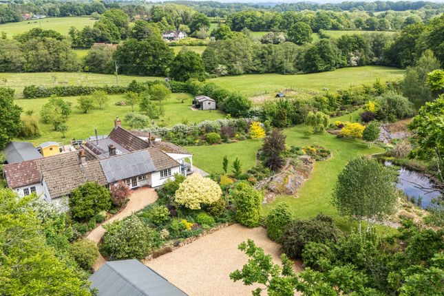 Hurstwood Road, High Hurstwood, Uckfield, East Sussex TN22, 4 bedroom ...