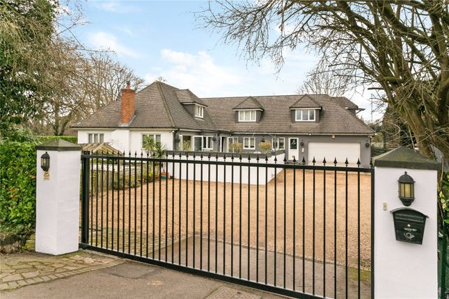 Homes for Sale in Bray - Buy Property in Bray - Primelocation