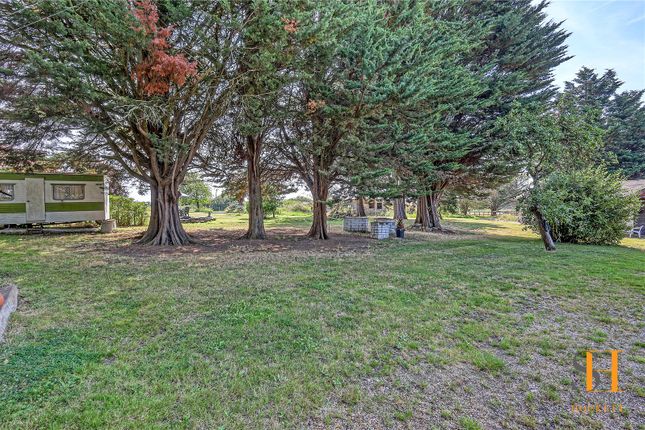 Tile Works Lane, Rettendon Common, Chelmsford, Essex CM3, 4 bedroom ...