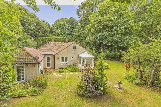 Homes for Sale in Cromer, Norfolk - Buy Property in Cromer, Norfolk ...