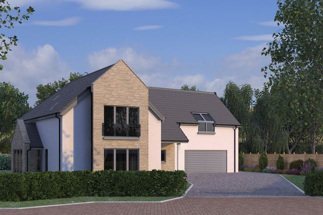 New home, 5 bed detached house for sale in Forgan Drive, Leuchars, St ...
