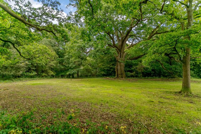 Ifield Wood, Ifield, West Sussex RH11, 6 bedroom detached house for ...