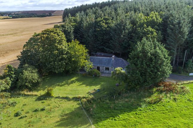 Tarves, Ellon, Aberdeenshire AB41, bungalow for sale - 56861973 ...