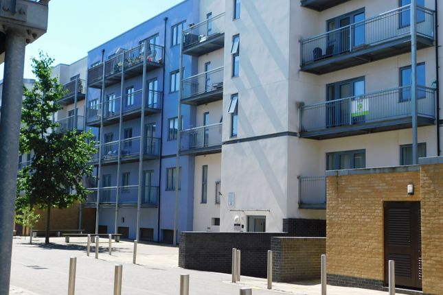 1 bedroom flats to let in Colchester - Primelocation