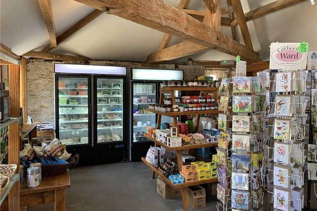 Modbury Farm, Burton Bradstock, Bridport DT6, retail premises to let ...