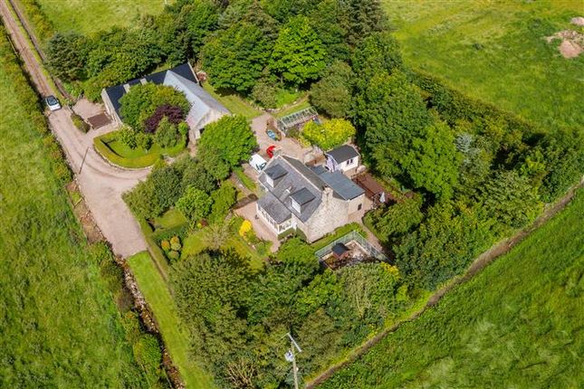 Homes for Sale in Strichen - Buy Property in Strichen - Primelocation