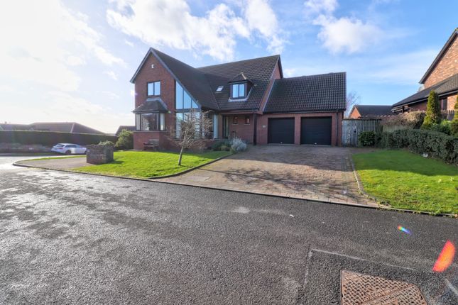 Homes For Sale In Newtownards Buy Property In Newtownards Primelocation