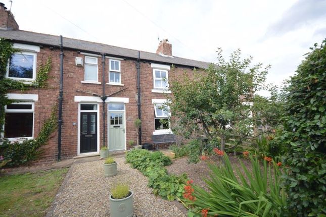 Station Road, Stannington, Morpeth NE61, 3 bedroom terraced house for ...