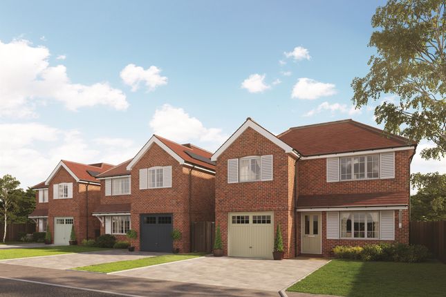 Homes for Sale in Basingstoke - Buy Property in Basingstoke - Primelocation