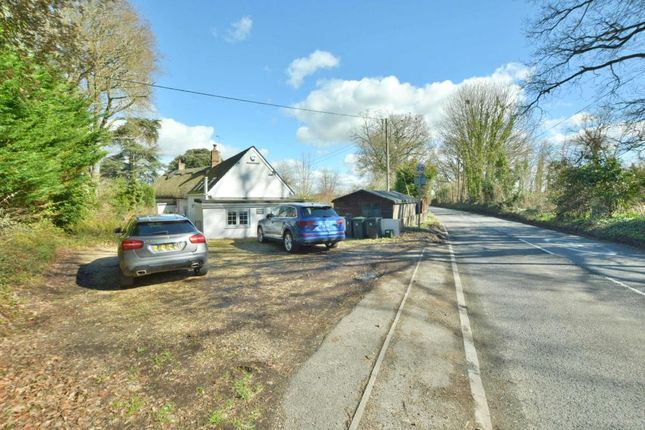 Spetisbury, Blandford Forum, Dorset DT11, 3 bedroom semi-detached house ...