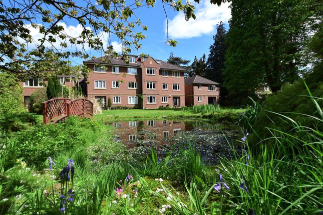 Homes for Sale in Camden Park, Tunbridge Wells TN2 - Buy Property in ...