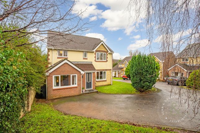 Acorn Grove, Pontprennau, Cardiff CF23, 4 bedroom detached house for ...