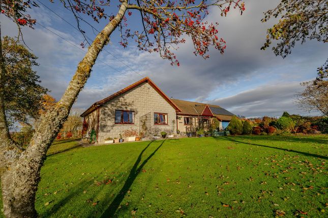 Greeness, Turriff AB53, 4 bedroom detached house for sale - 69950665 ...