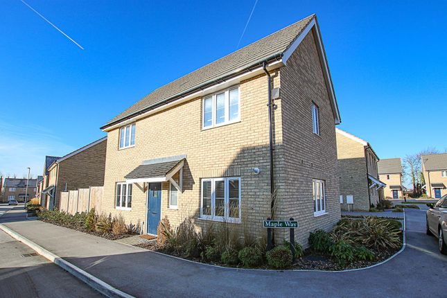 Maple Way, Fordham, Ely CB7, 3 bedroom detached house for sale ...