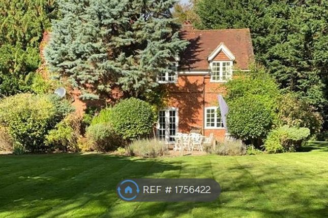 Bath Road, Knowl Hill, Reading RG10, 4 bedroom detached house to rent ...