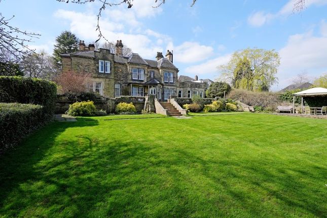 Homes for Sale in S11 - Buy Property in S11 - Primelocation