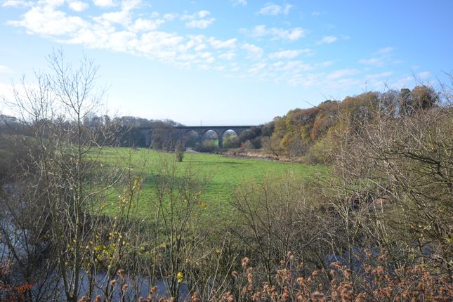 Main Road, Kilmarnock, Ayrshire KA3, 1 bedroom flat to rent - 63305452 ...