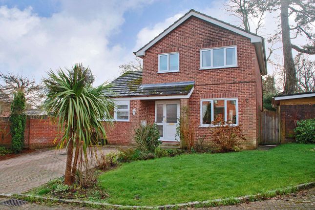 3 bed detached house for sale in The Meadows, Lyndhurst SO43 - Zoopla