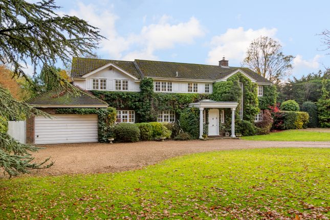 Harmer Green Lane, Digswell, Welwyn AL6, 6 bedroom detached house for ...