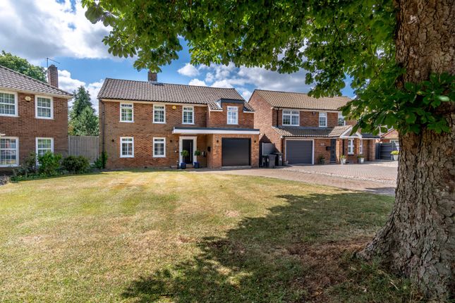 Homes for Sale in Epping - Buy Property in Epping - Primelocation