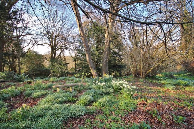 Photos of Main Road, Hadlow Down, Uckfield TN22 - 67017041 | PrimeLocation