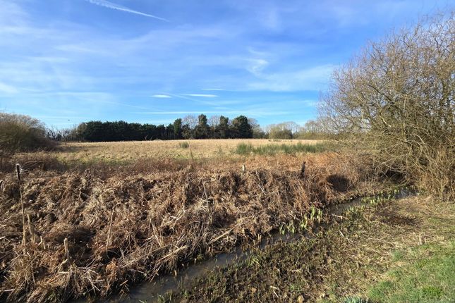 Green Acres, Gamlingay, Sandy SG19, 3 bedroom semi-detached house for ...