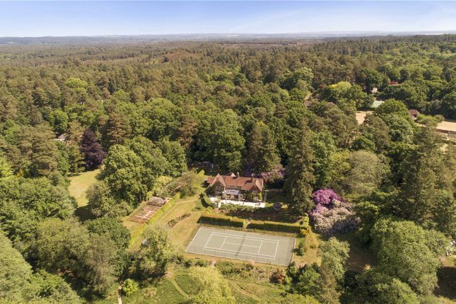 Crabtree Lane, Churt, Farnham, Surrey GU10, 6 bedroom detached house ...