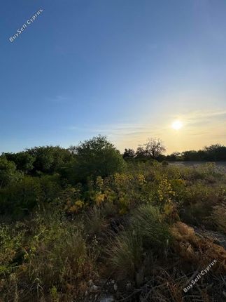 Mesogi, Paphos, Cyprus, land for sale - 69078239 | PrimeLocation