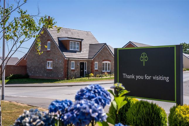 Bee Meadow, North Road, South Molton, Devon EX36, 3 bedroom detached ...