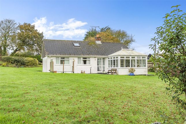 Coldridge, Crediton, Devon EX17, 2 bedroom semi-detached bungalow for ...
