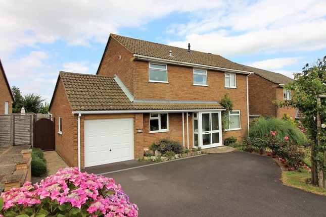 Houses for Sale in Chard - Chard Houses to Buy - Primelocation