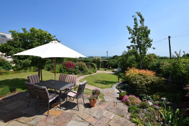 Dunchideock, Exeter EX6, 3 bedroom cottage for sale - 55762172 ...