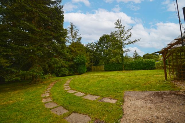 Rye Road, Rye Foreign, Rye TN31, 4 bedroom semi-detached house for sale ...