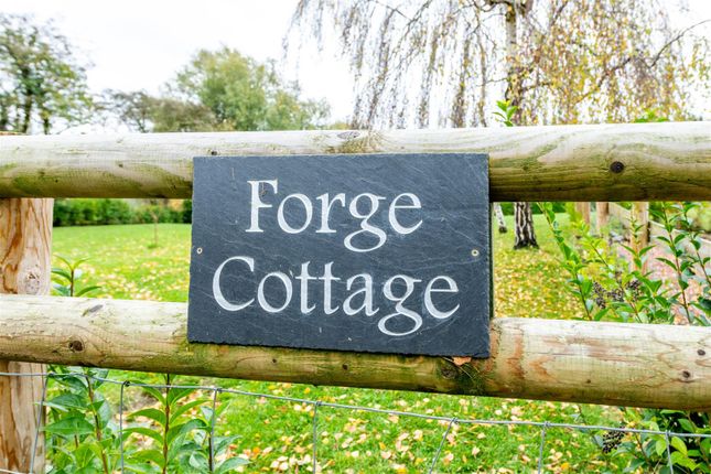 Alfrick Pound, Alfrick, Worcester WR6, 4 bedroom detached house for ...