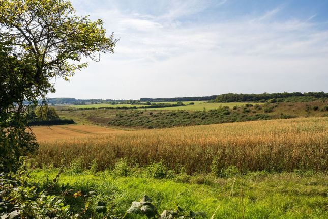 Warwick Road, Gaydon CV35, 5 bedroom detached house for sale - 65589246 ...