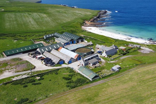 Orkney farms and land for sale - Buy farms and land in Orkney ...