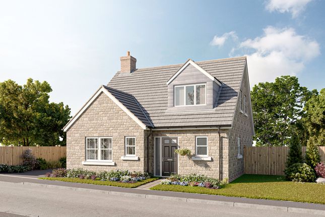 Estuary View, Appledore, Bideford, Devon EX39, 2 bedroom bungalow for ...