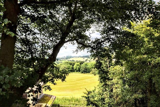 4 bed bungalow for sale in Hall Close, Worsbrough, Barnsley S70 - Zoopla