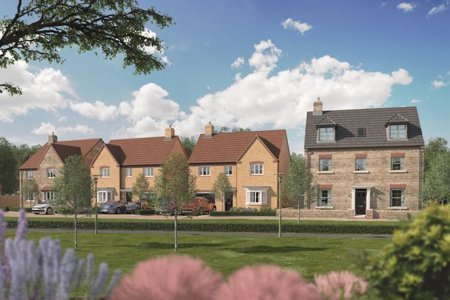 New home, 3 bed detached house for sale in New Yatt Road, North Leigh ...