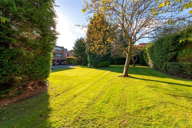 Fettes Rise, Edinburgh EH4, 3 bedroom flat for sale - 62827741 ...