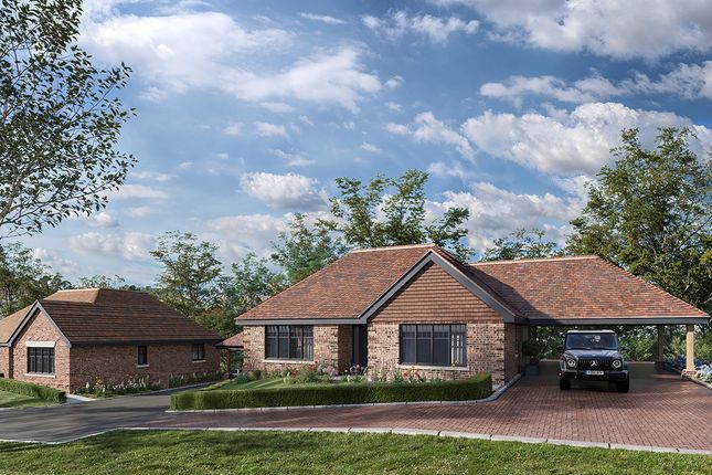 Wilsom Road, Alton, Hampshire GU34, 3 bedroom bungalow for sale ...