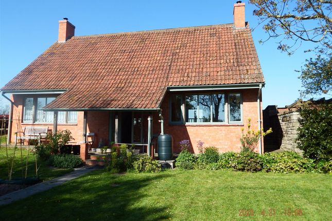 Stathe Road, Burrowbridge, Bridgwater TA7, studio to rent - 62670536 ...