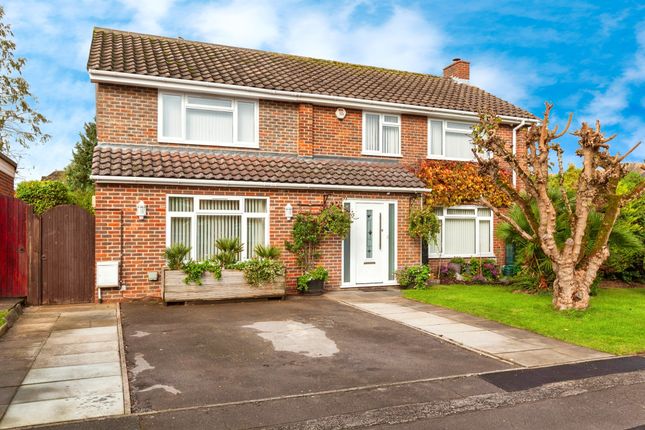 Homes for Sale in Bray - Buy Property in Bray - Primelocation