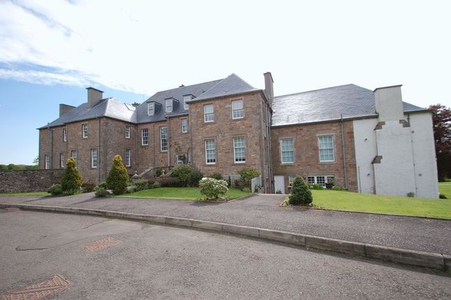 Bertram House Carnwath | puffin house bleg berryu