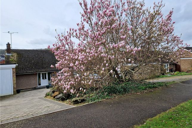 Bibshall Crescent, Dunstable, Bedfordshire LU6, 3 bedroom semi-detached ...