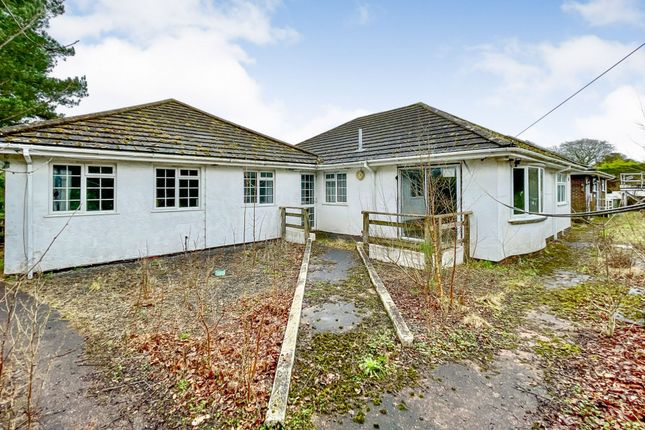 Whitestone, Exeter EX4, property for sale - 66871441 | PrimeLocation