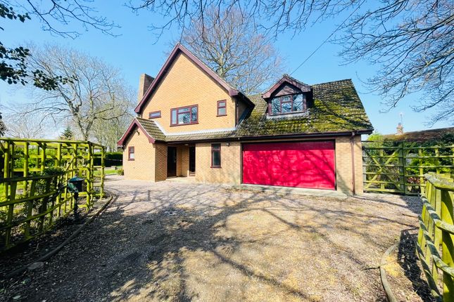 New Road, Sutton Bridge, Spalding PE12, 4 bedroom property to rent ...